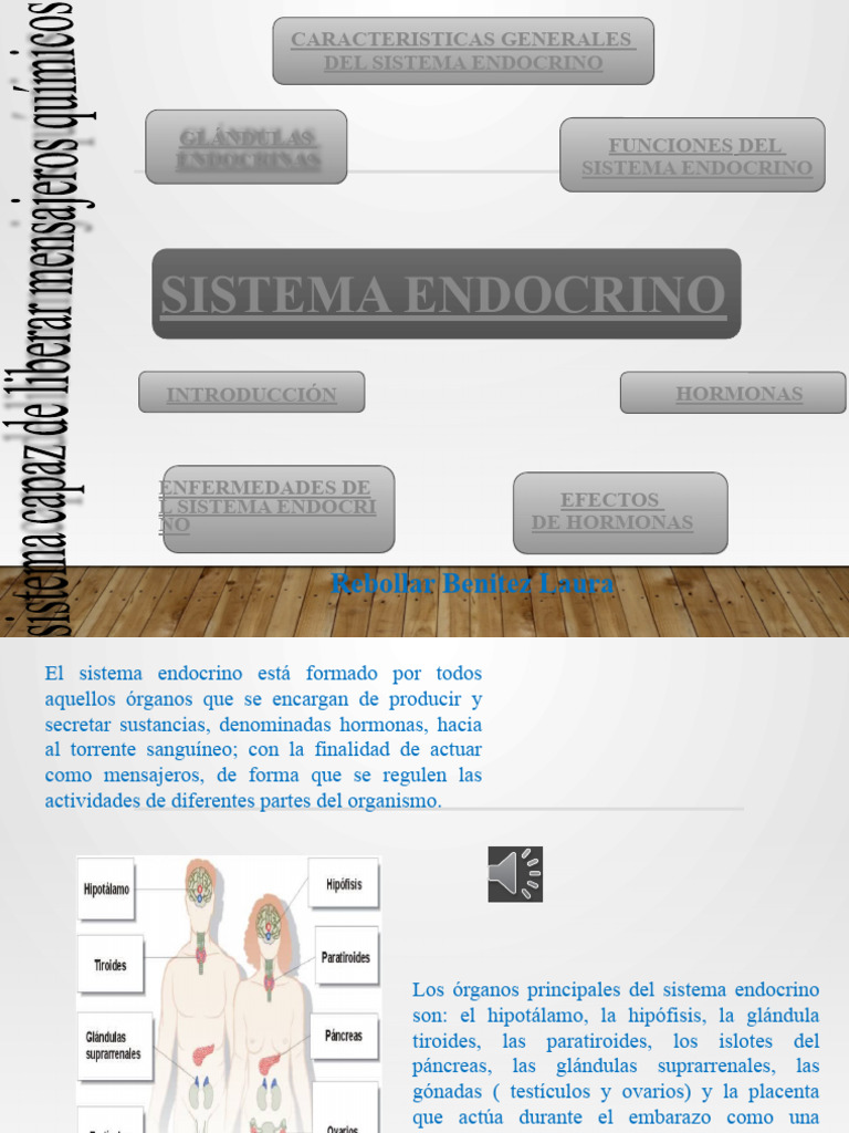 Rebollar Benitez Laura Endocrino | PDF | Sistema endocrino | Hormona