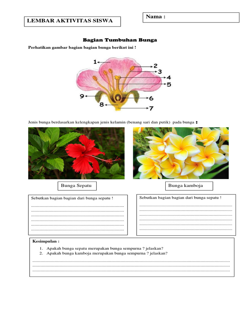 Lembar Aktivitas Siswa Bagian Bagian Bunga | PDF