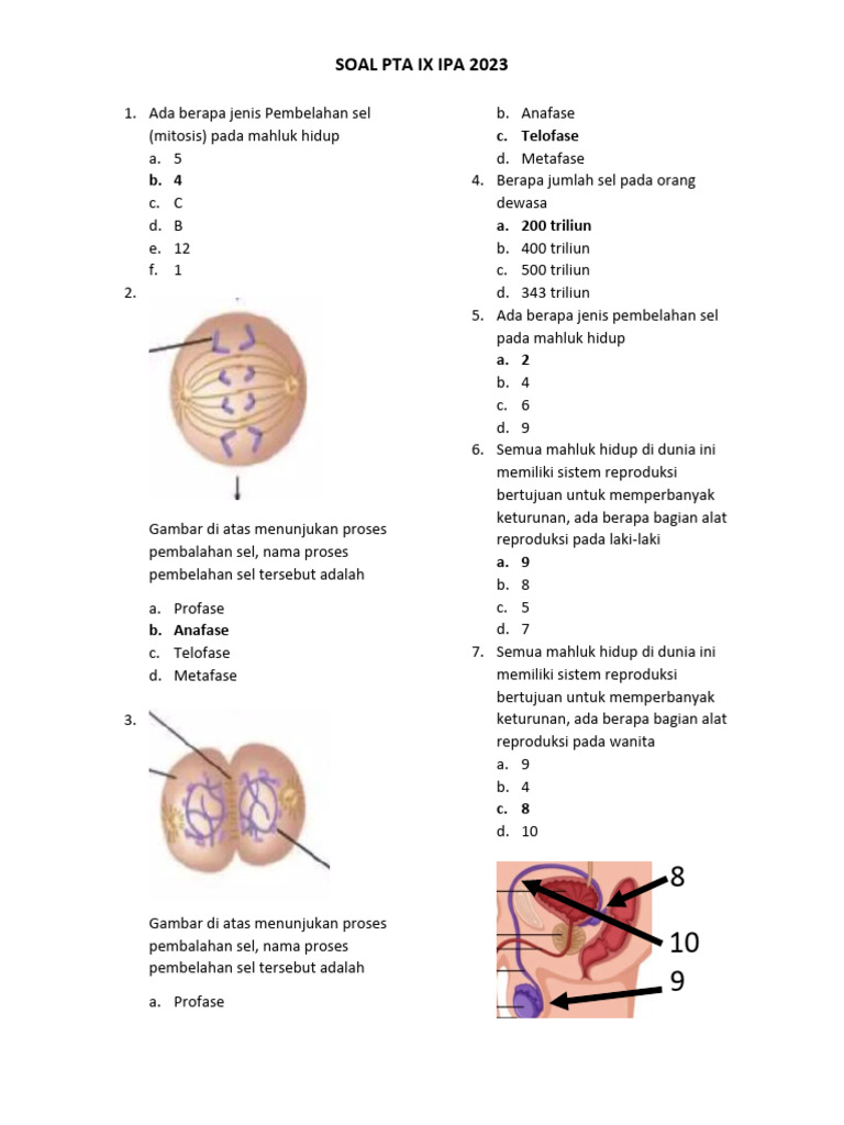 Soal + Jawaban US IPA 2024 | PDF