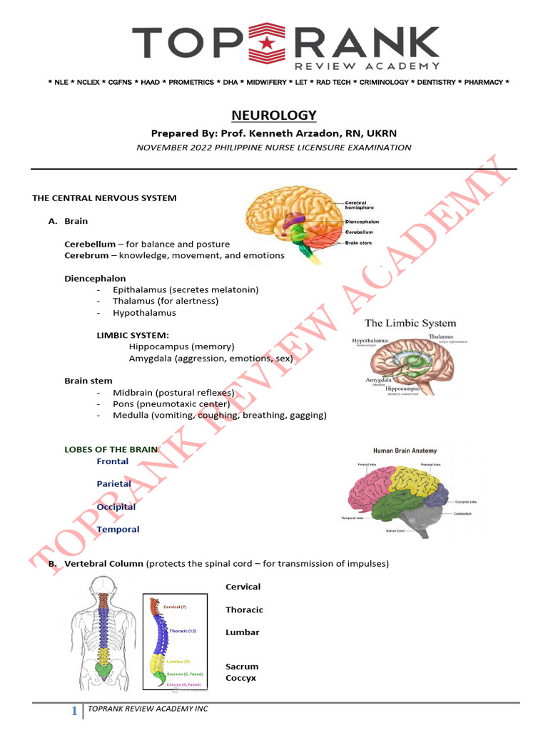 Neuro Hand Out Intensive Nov Pnle 2022 | PDF | Central Nervous System ...