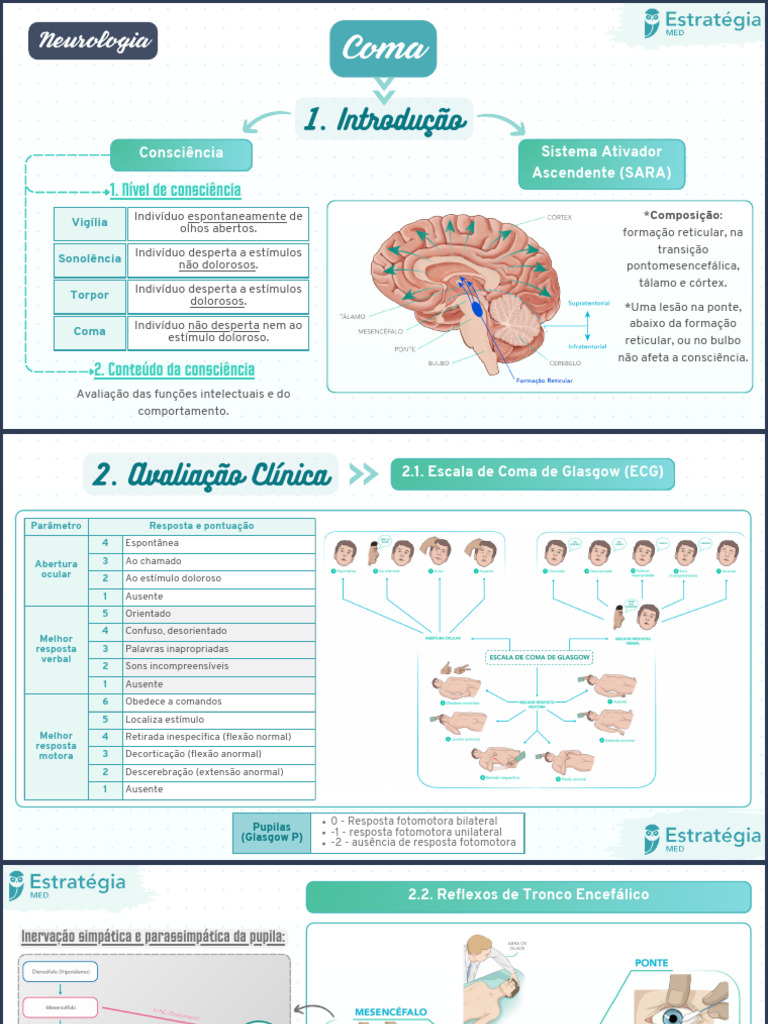 Coma Mapa Mental Pdf Coma Remédio