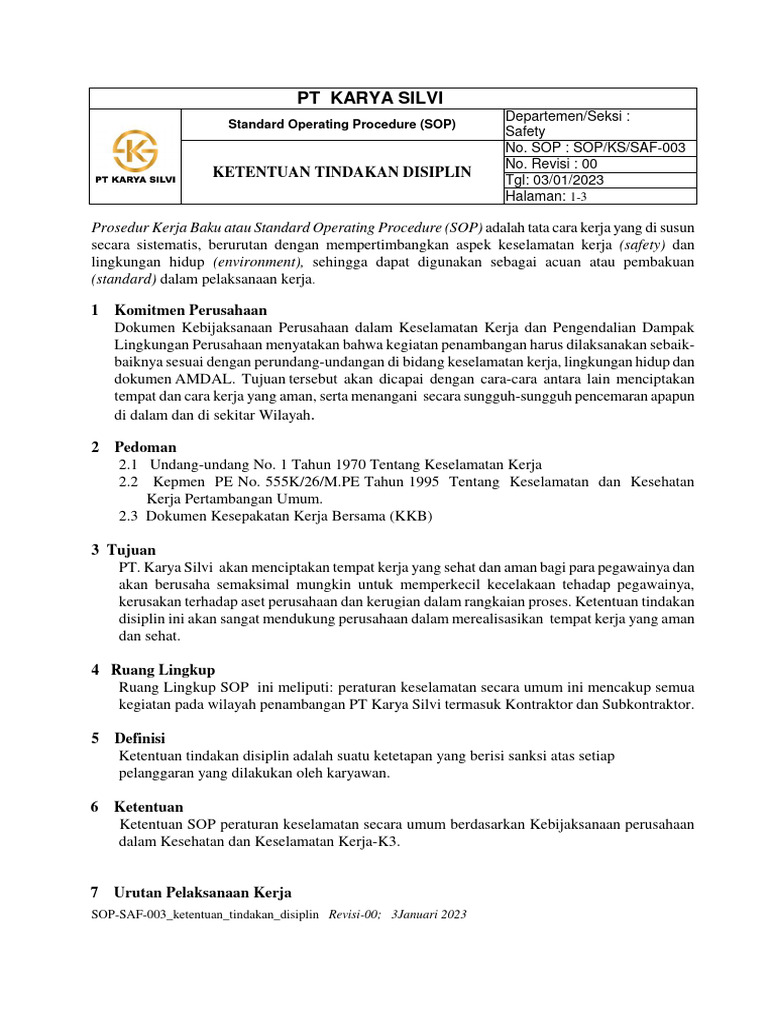Ketentuan Tindakan Disiplin Karyawan | PDF | Komputer
