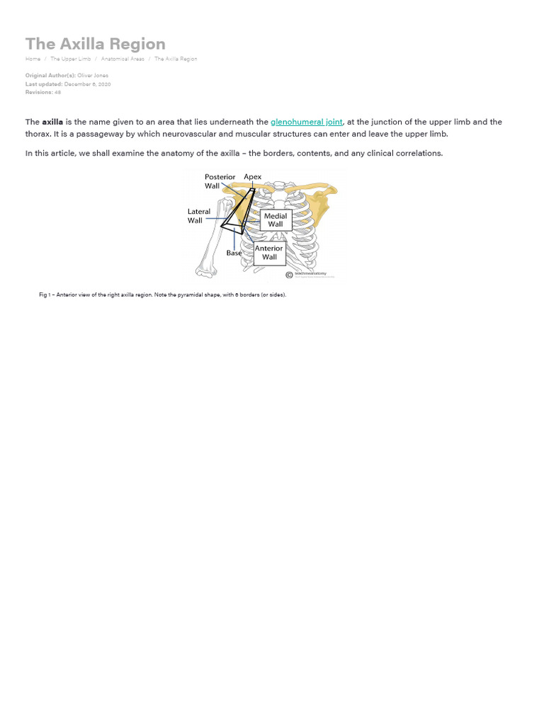The Axilla Region - Borders - Contents - TeachMeAnatomy | PDF | Arm ...