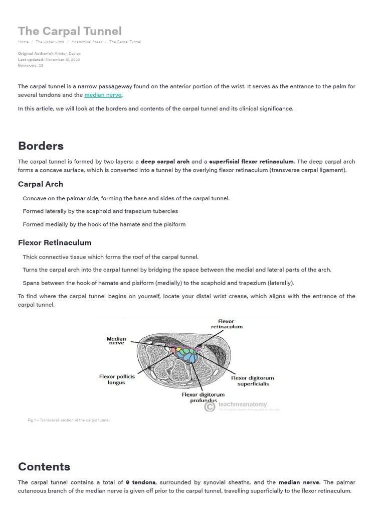 The Carpal Tunnel - Borders - Contents - TeachMeAnatomy | PDF | Carpal ...