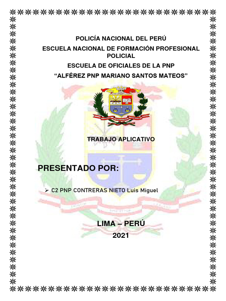 Control y Sanciones de Tránsito PNP | PDF | Policía | Seguridad vial