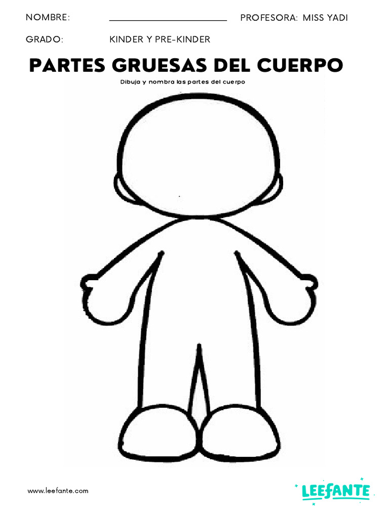 Kinder Pk Partes Gruesas Del Cuerpo Pdf
