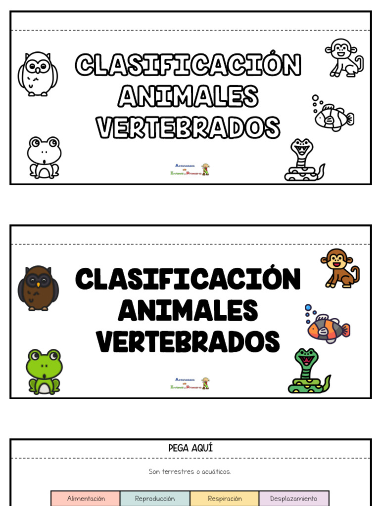 Flipbook Animales Vertebrados | PDF | Vertebrados | Respiración