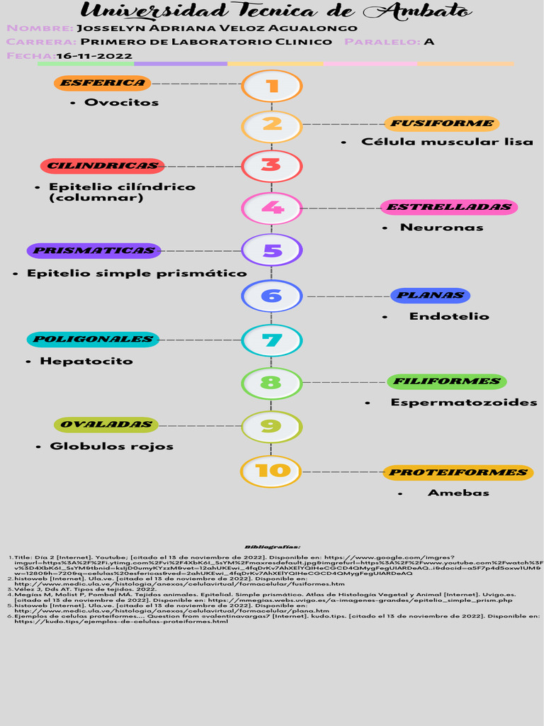 Formas de La Celula y Celula Procariota | PDF | Epitelio | Ciencias de ...