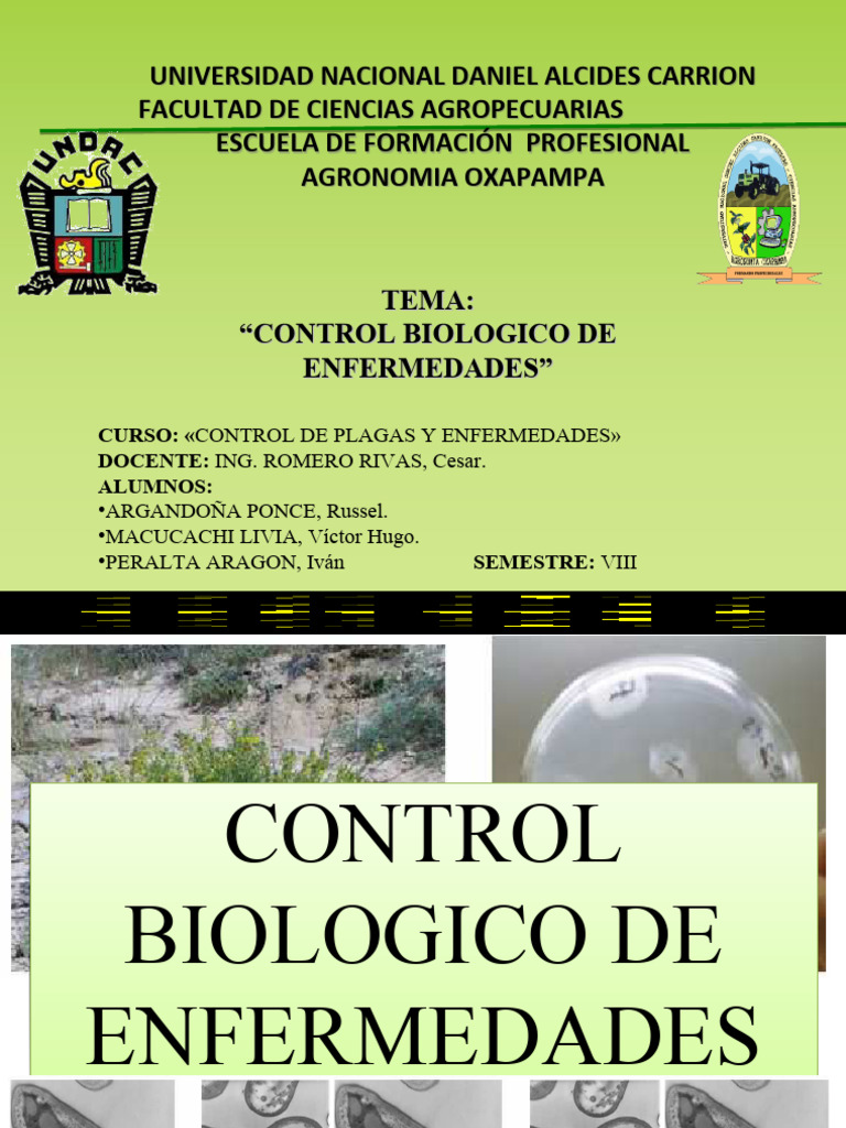 Control Biológico de Enfermedades Agrícolas | PDF | Hongo | Control ...