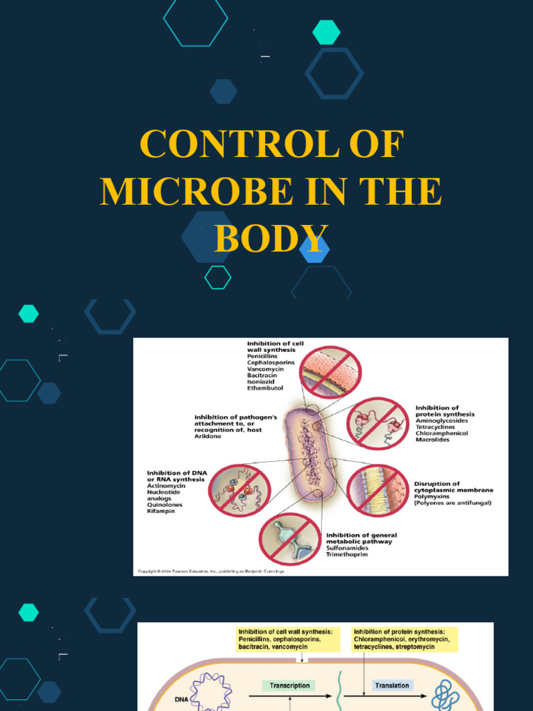 10 Control of Microbe in The BODY | PDF | Antimicrobial Resistance ...