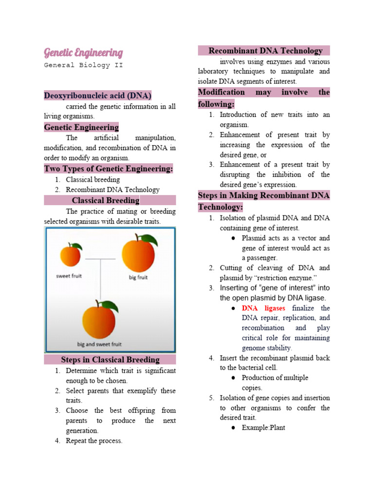 Genetic Engineering | PDF | Recombinant Dna | Plasmid
