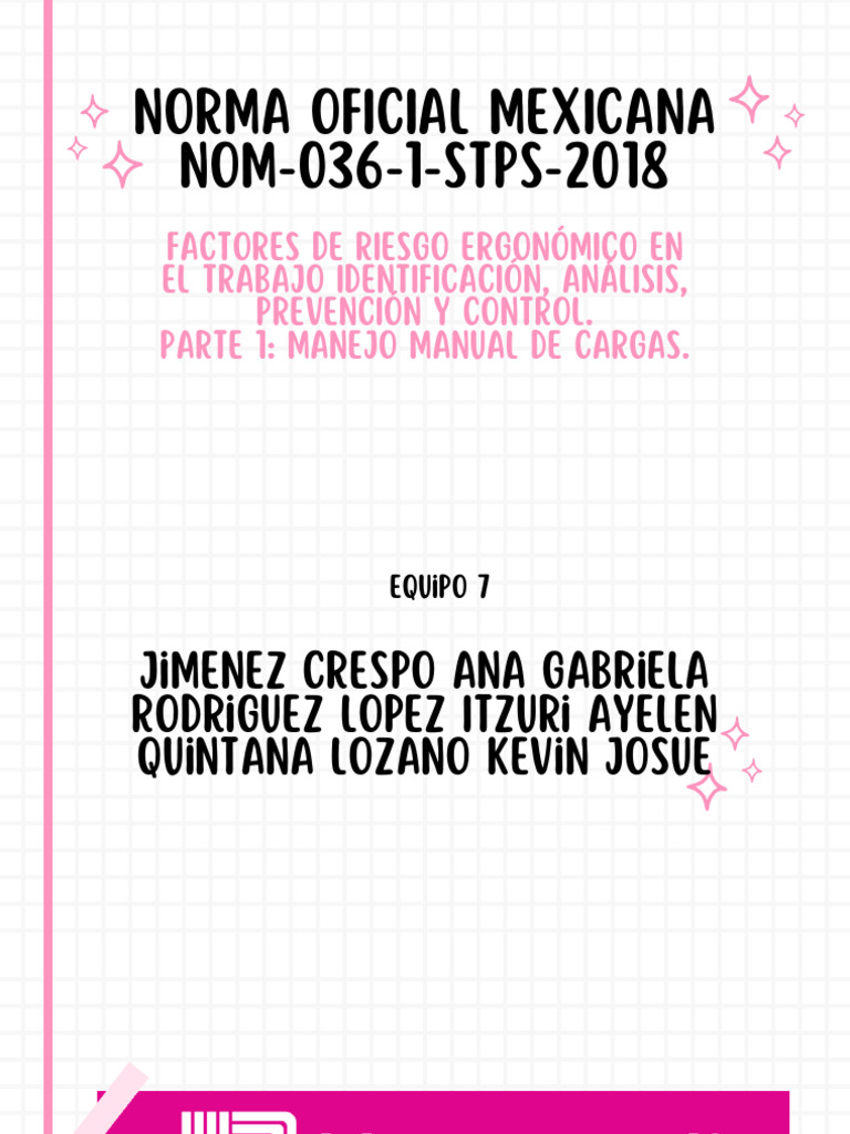 Norma Oficial Mexicana Nom-036-1-Stps-2018 | PDF | Factores humanos y ...
