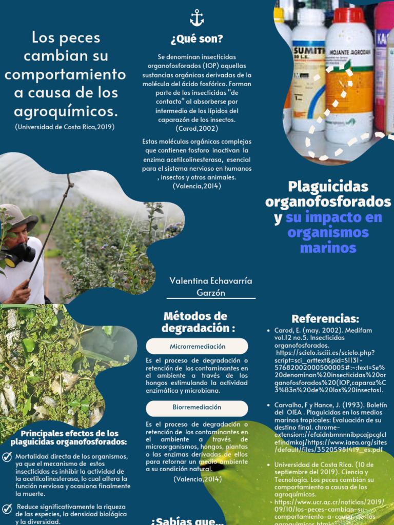 Echavarría V Folleto 2 Plaguicidas Organofosforados | PDF | Pesticida | Insecticida