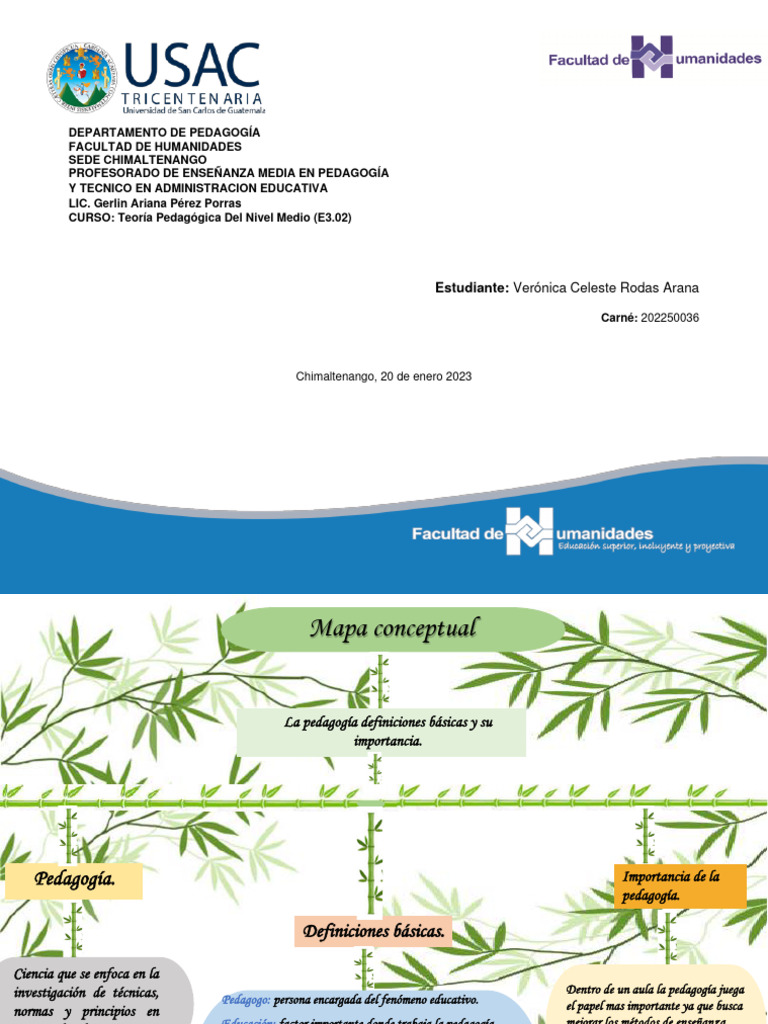 Mapa Conceptual | PDF