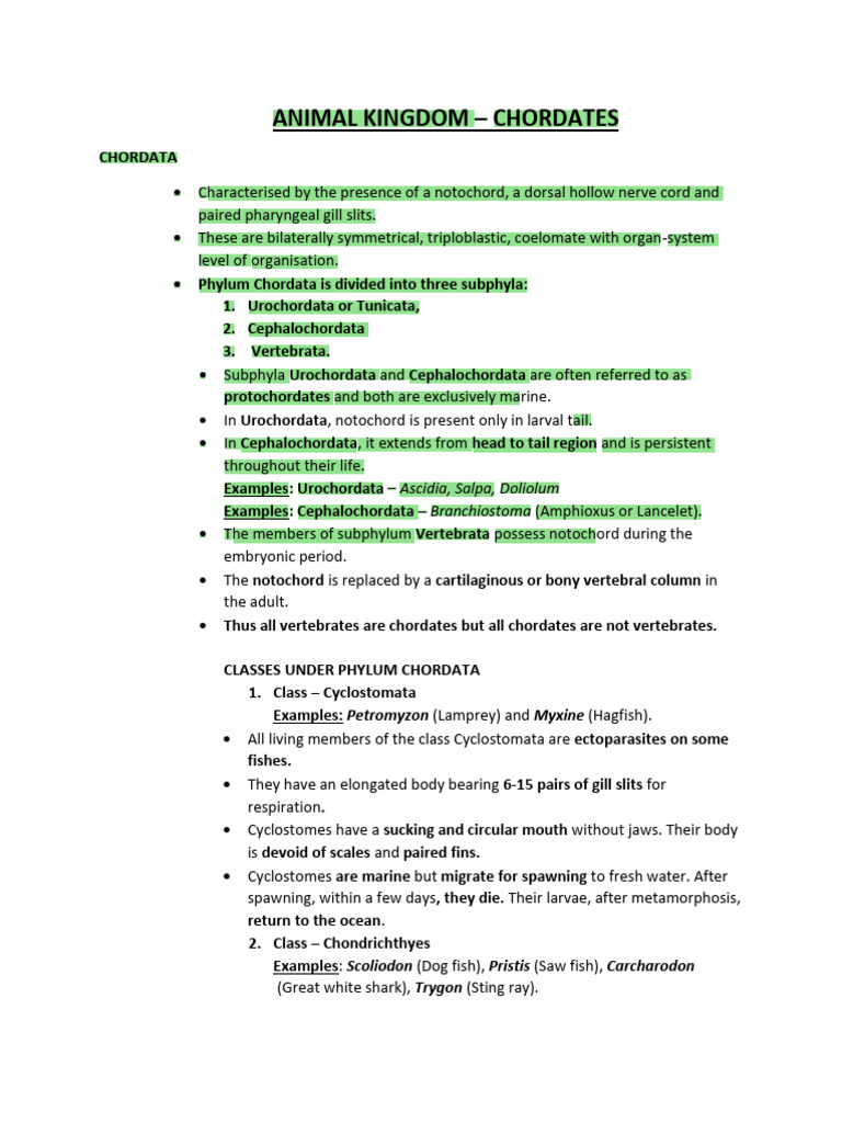 Animal Kingdom Chordates-1 | PDF | Vertebrates | Zoology