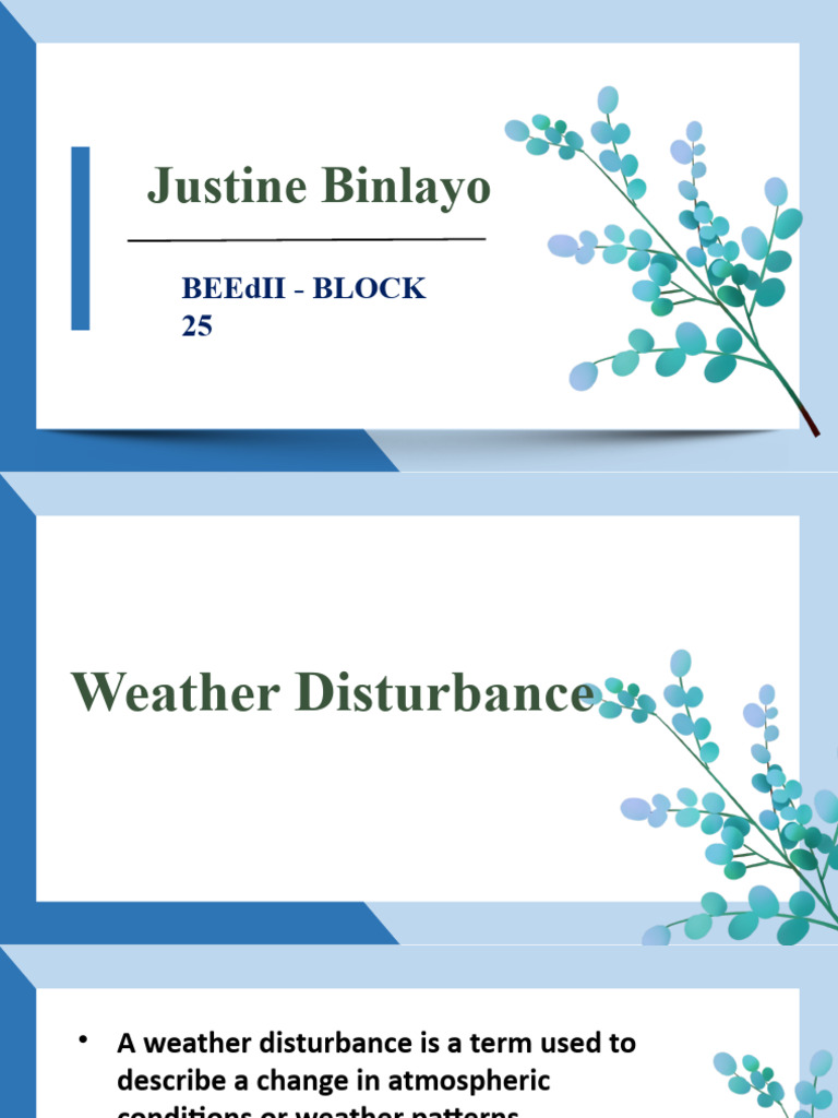 Understanding Weather Disturbances | PDF