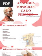 Anatomia do Pescoço: Estruturas e Funções | PDF | Tireoide | Anatomia