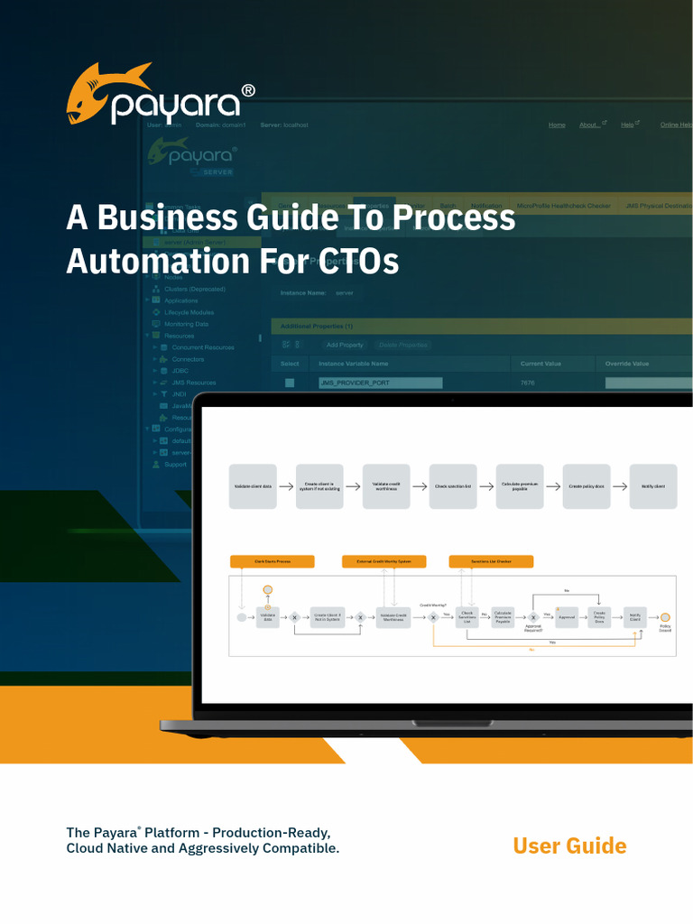 A Business Guide To Process Automation For CTOs | PDF | Business ...