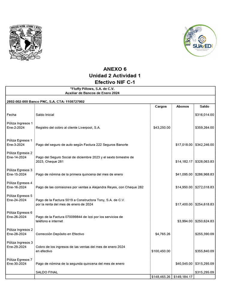 Anexo 6 | PDF | Bancos | Contabilidad