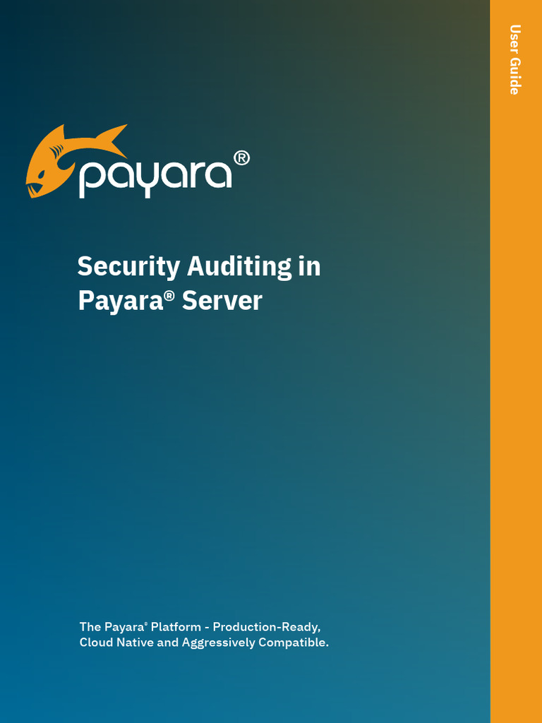 Security Auditing in Payara Server3 | PDF | World Wide Web | Internet & Web Security Auditing in Payara Server3 | PDF | World Wide Web | Internet & Web