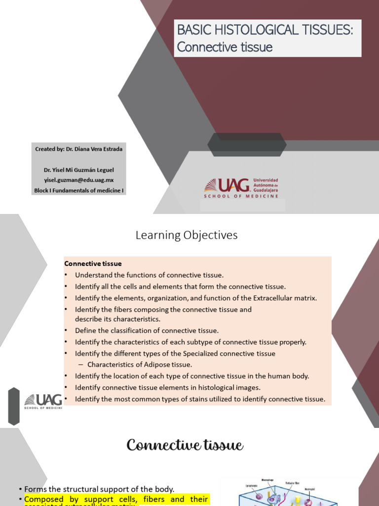 Connective Tissue (Proper and Specialized) 2024-01 | Download Free PDF ...