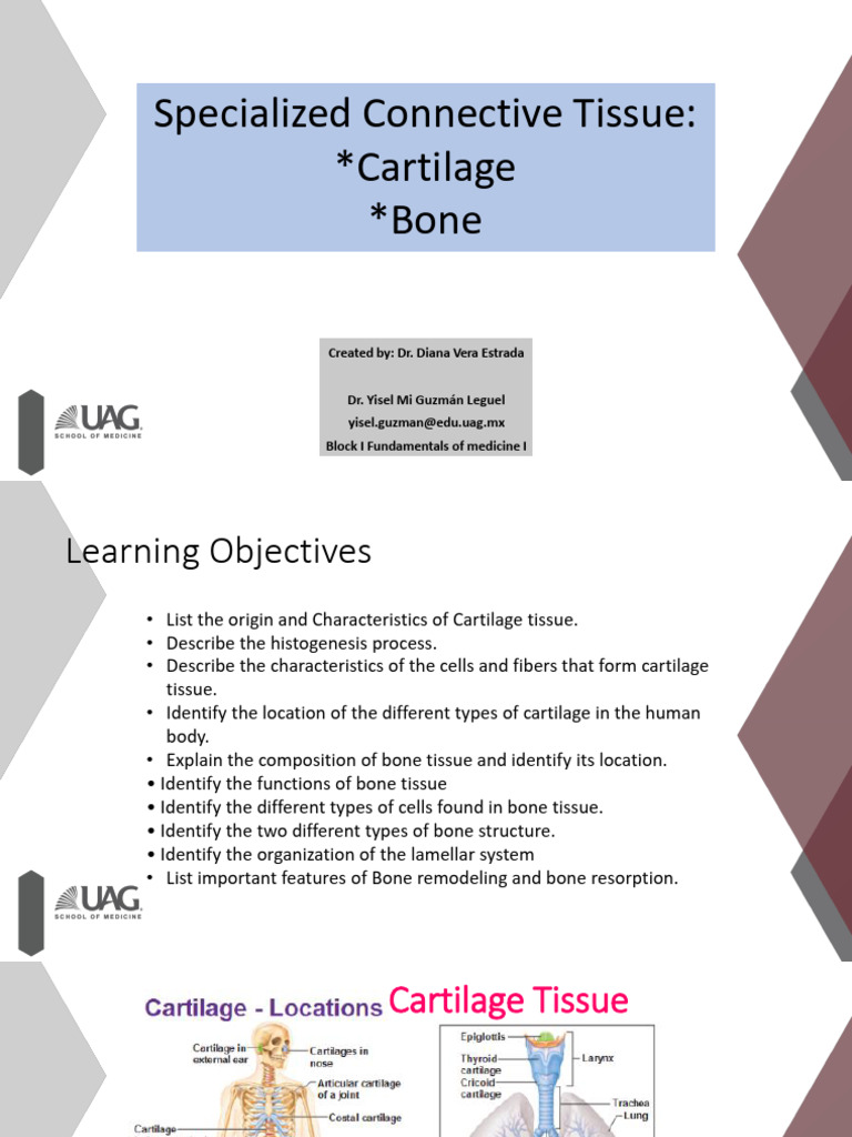 Cartilage and Bone 2024-01 | PDF | Bone | Cartilage