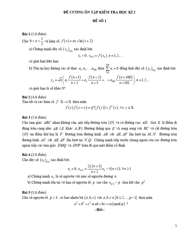 0.de Cuong On Tap Kiem Tra Hk2 Lop 11-k75 | PDF