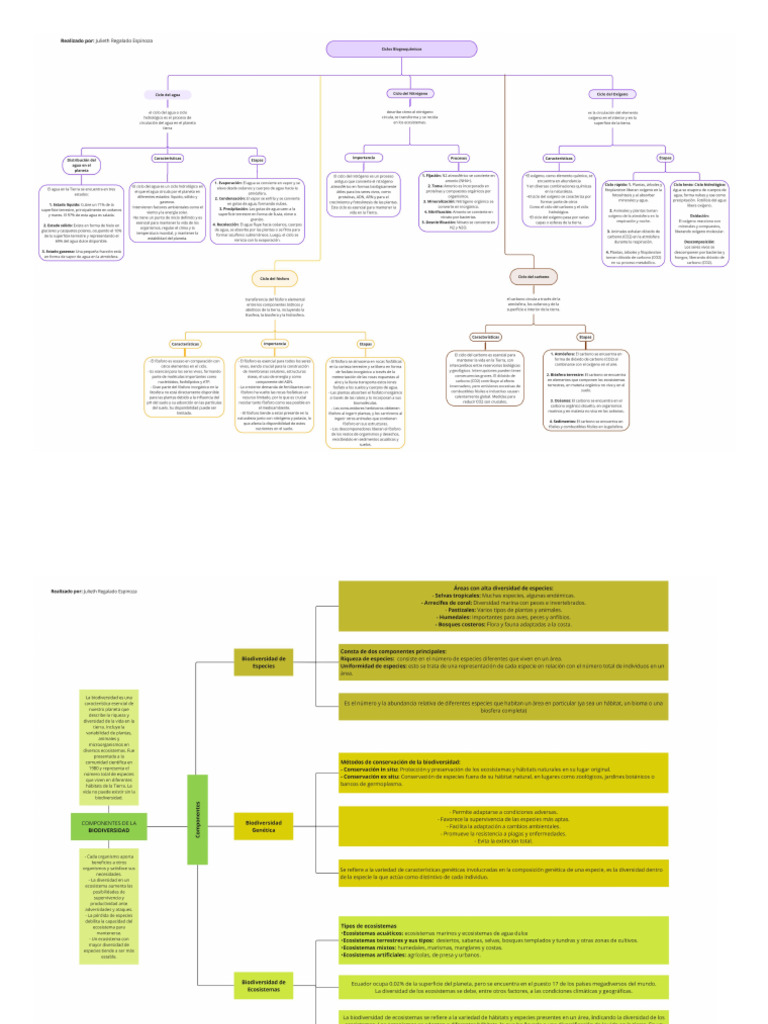 Mapas Conceptuales U2 | PDF