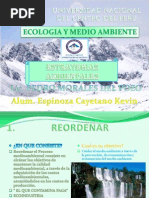 Estrategias de las 10R para el Reciclaje | PDF | Reciclaje | Residuos