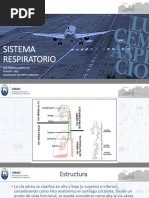 Anatomia de Via Aerea Inferior | PDF | Pulmón | Anatomía