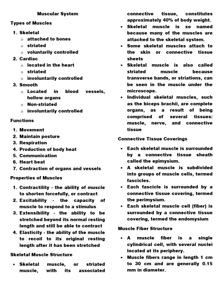 Lesson 5 Muscular System | Download Free PDF | Human Leg | Muscle