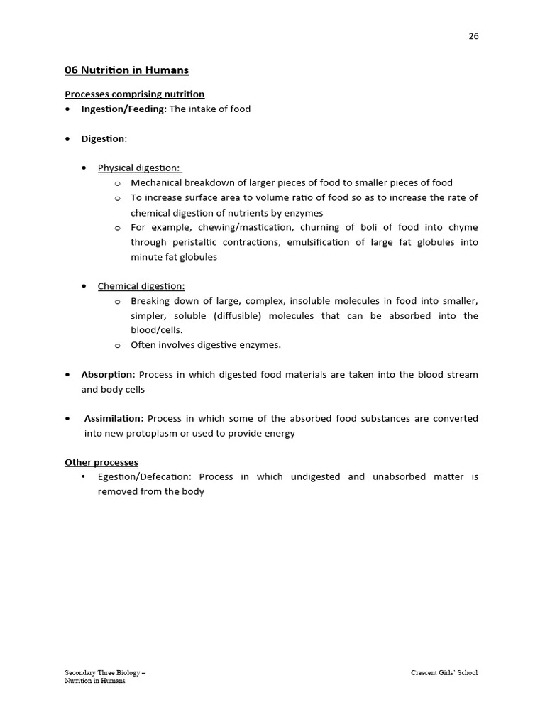 Human Nutrition: Digestion and Absorption | PDF | Digestion | Stomach