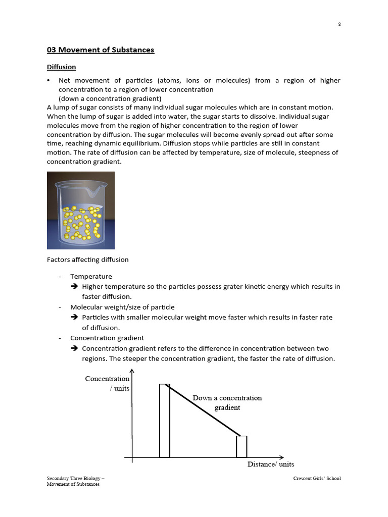 03 Movement of Substances Notes | PDF | Osmosis | Diffusion