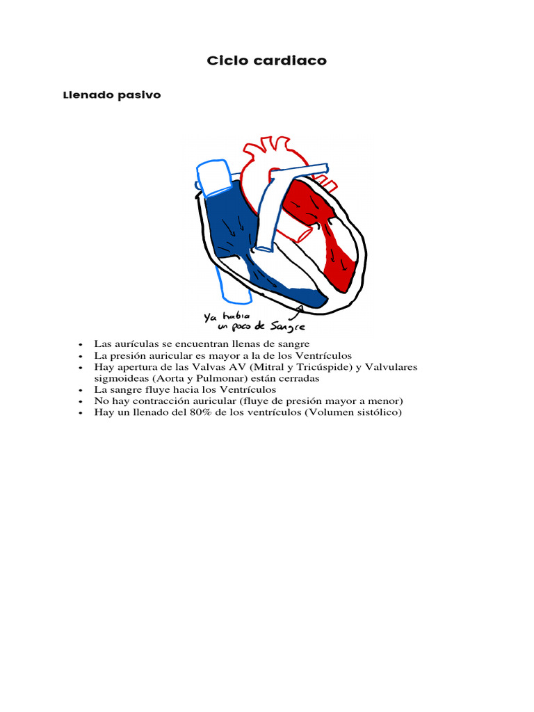 Fases del Ciclo Cardíaco | PDF | Ventrículo (corazón) | Corazón