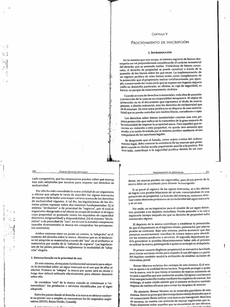 Marcas y Otros Signos Distintivos Capitulo 5 | PDF