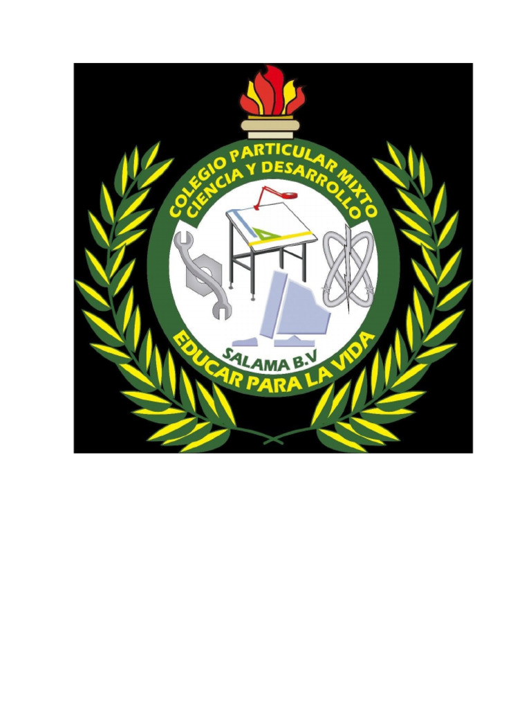 LOGO CYD | PDF