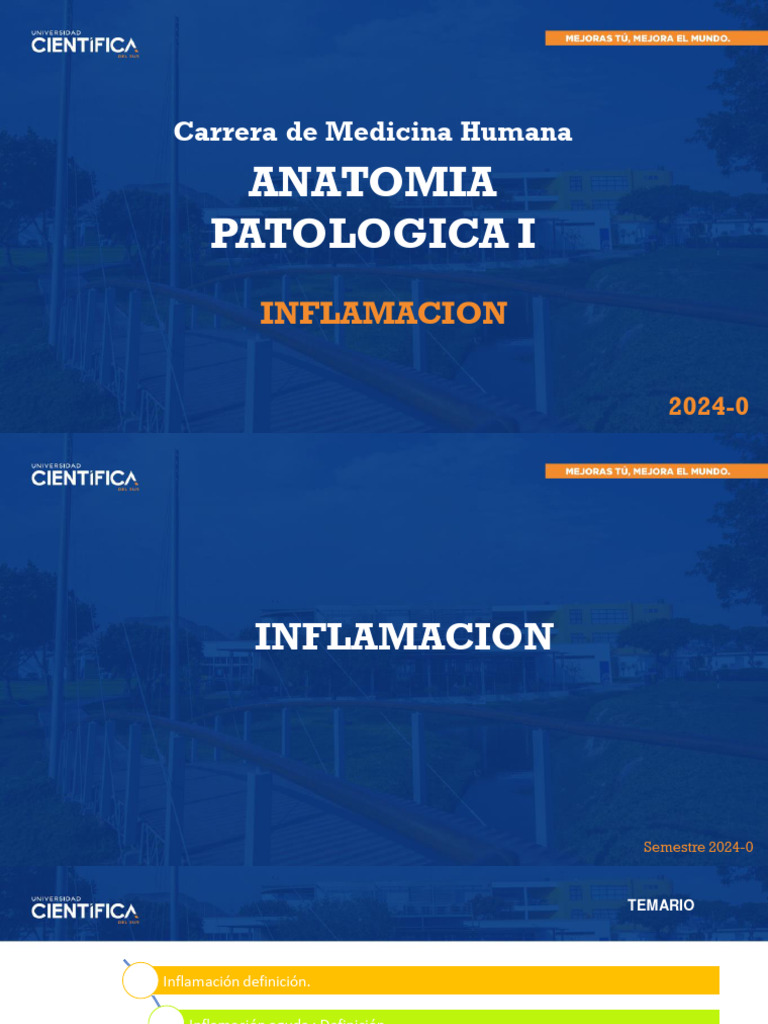 3 y 4. Inflamacion | PDF | Inflamación | Sistema inmune