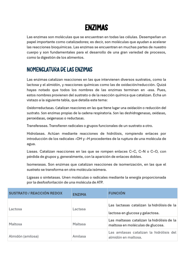 ENZIMAS | PDF | Hidrólisis | Enzima