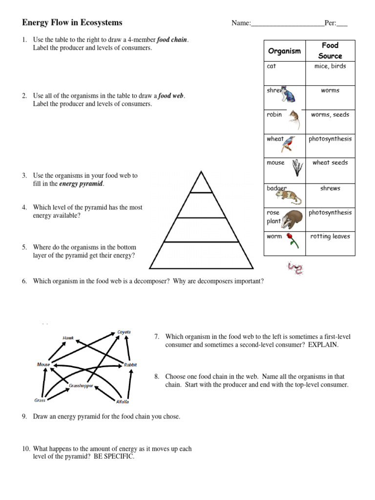 enery flow ws | PDF | Food Web | Foods