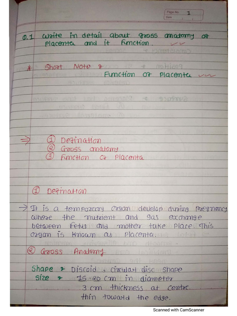 Obstetrics Handwritten Notes | PDF