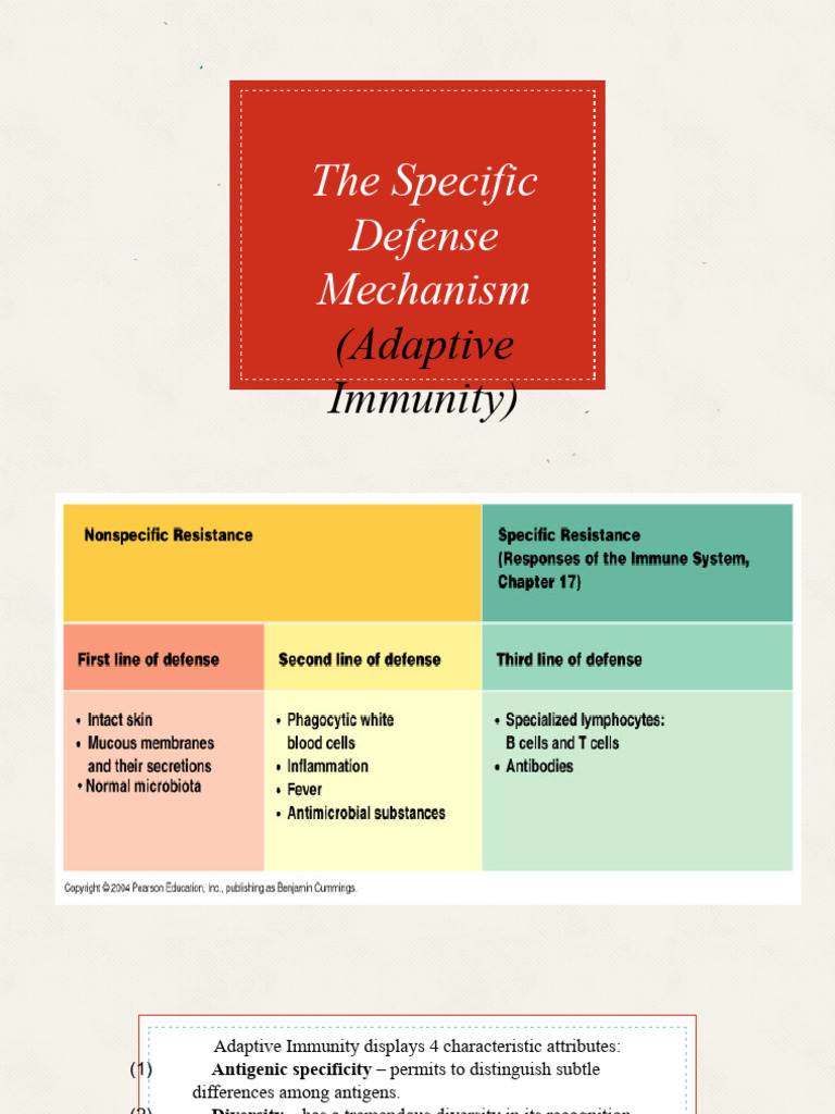 Adaptive Immunity: Key Features Explained | PDF | Antigen | Immune System