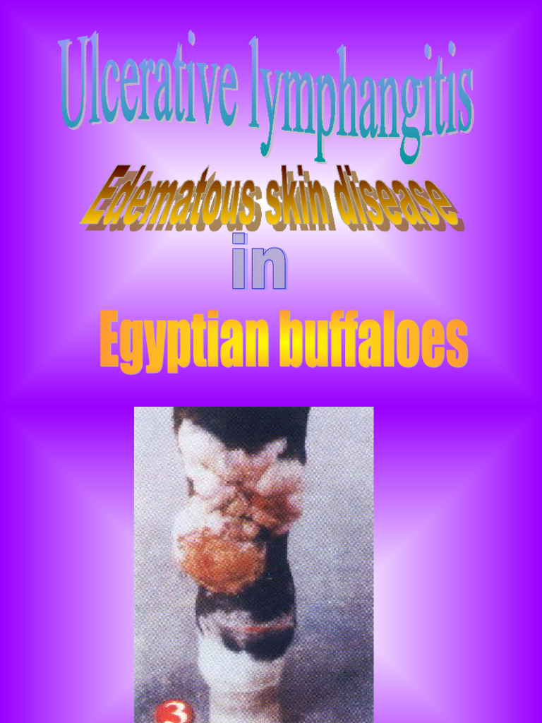 Ulcerative Lymphangitis | PDF