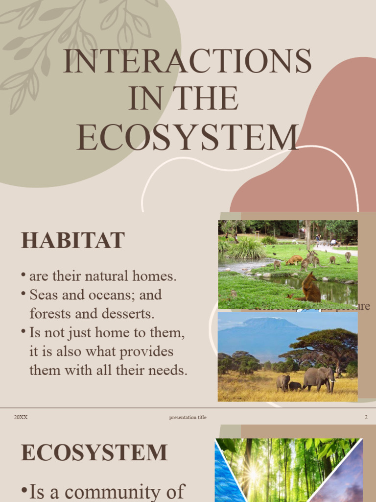 Interactions in The Ecosystem | PDF