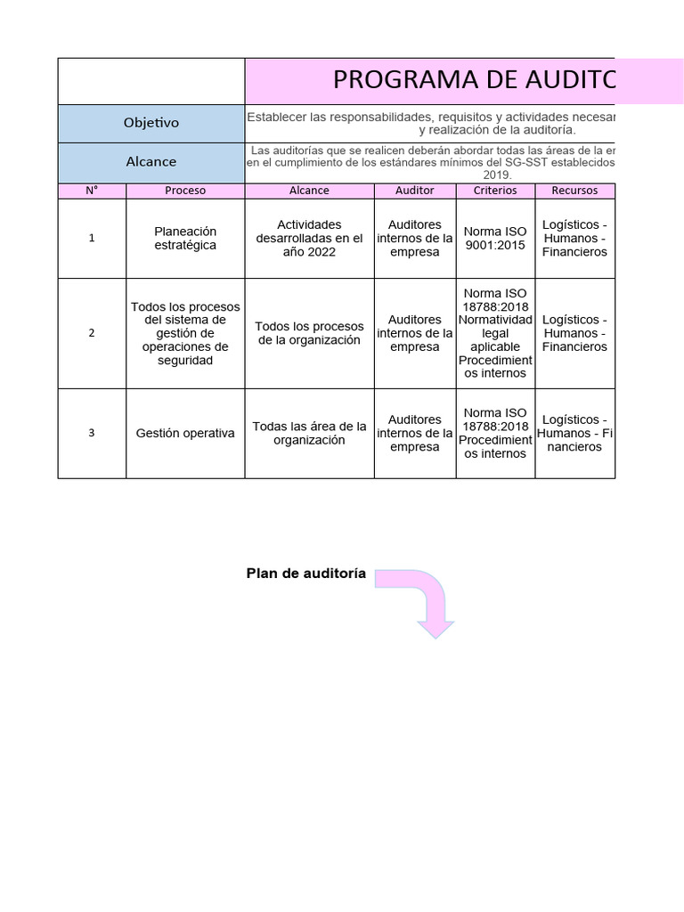 Programa y Plan de Auditoría.21 | PDF | Sistema de manejo de calidad | Calidad (comercial)