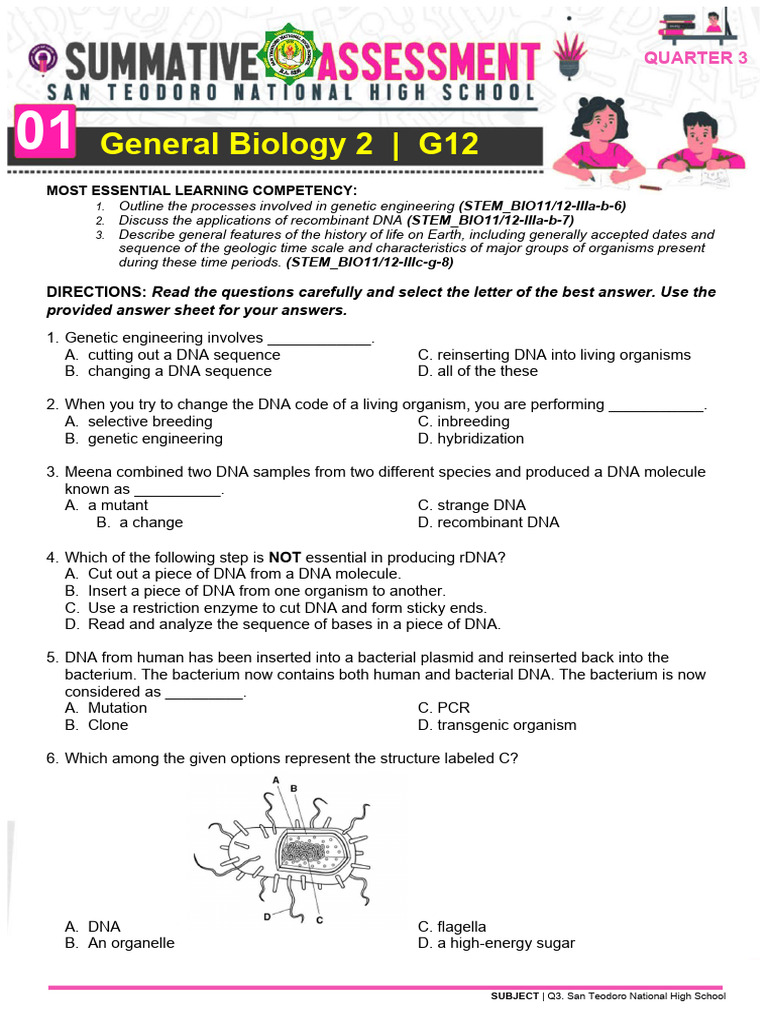 GenBio2 Summative 1 For Learners | PDF | Molecular Cloning | Genetically Modified Organism
