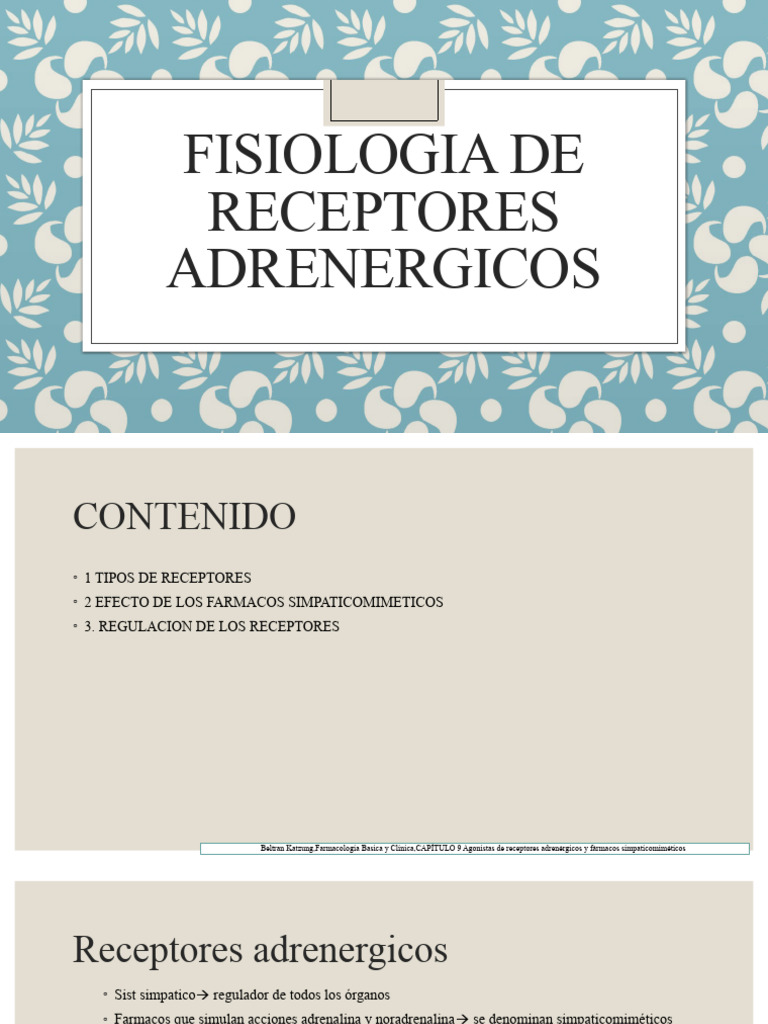 Fisiologia de Receptores Adrenergicos | PDF | Receptores | Comunicación ...