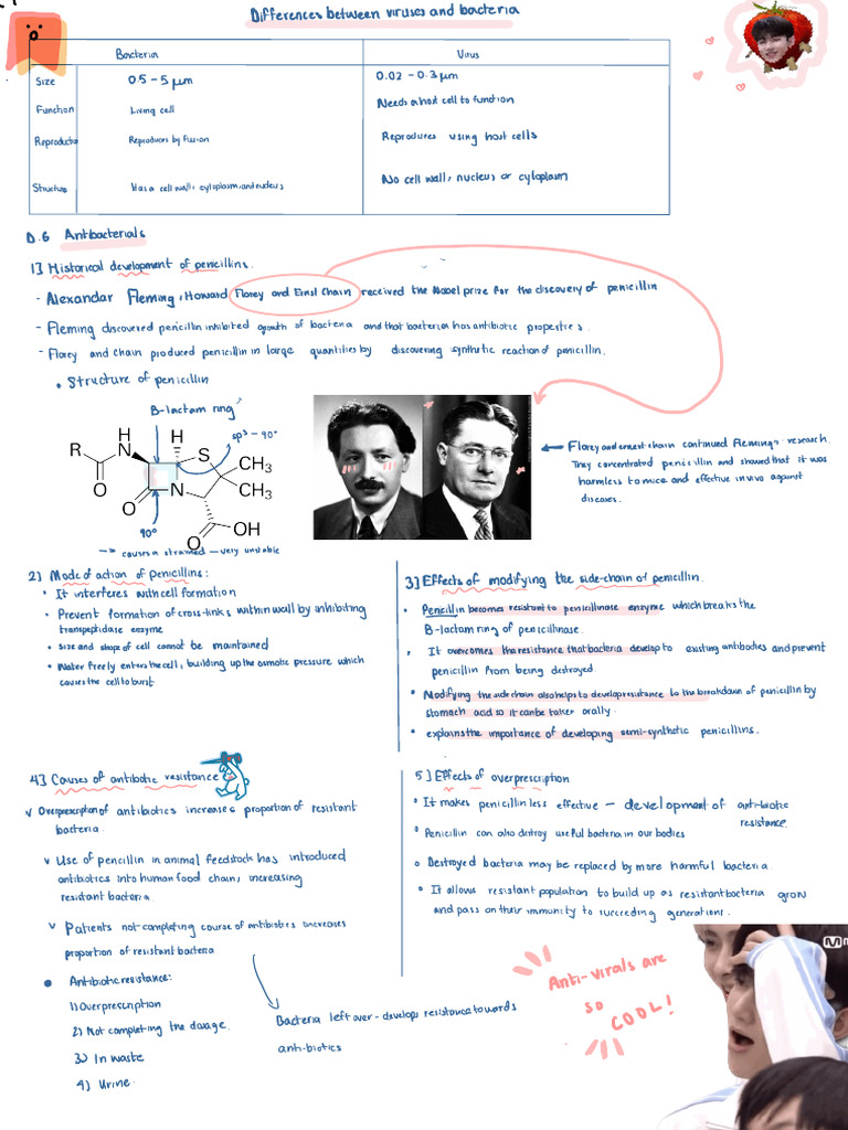 Antibacterial and Anti Virals | PDF | Penicillin | Immunology