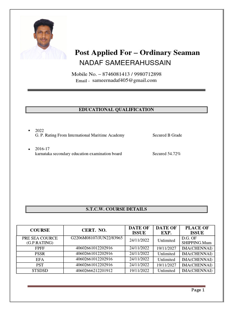 CV SAMEER NADAF | PDF