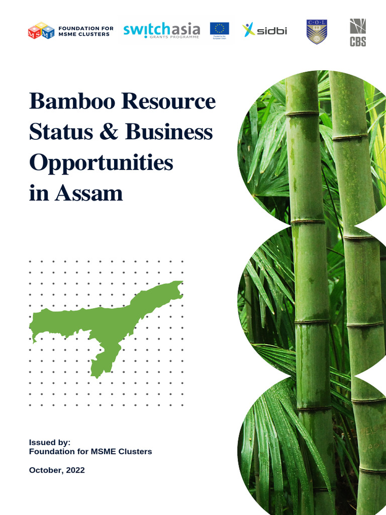 Bamboo Business Opportunities in Assam | PDF | Bamboo