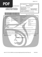 Tutorial Actividad Integradora 1 Módulo 21 | PDF